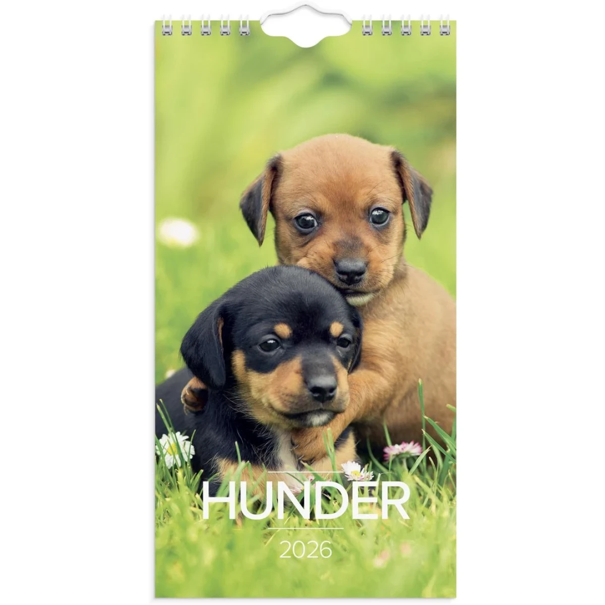 Grieg Veggkalender 2026 Hunder Mini - | Yaha.no